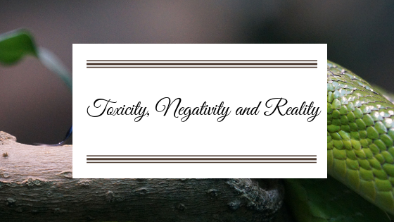 Toxicity, Negativity and Reality – Salubrity and Soul
